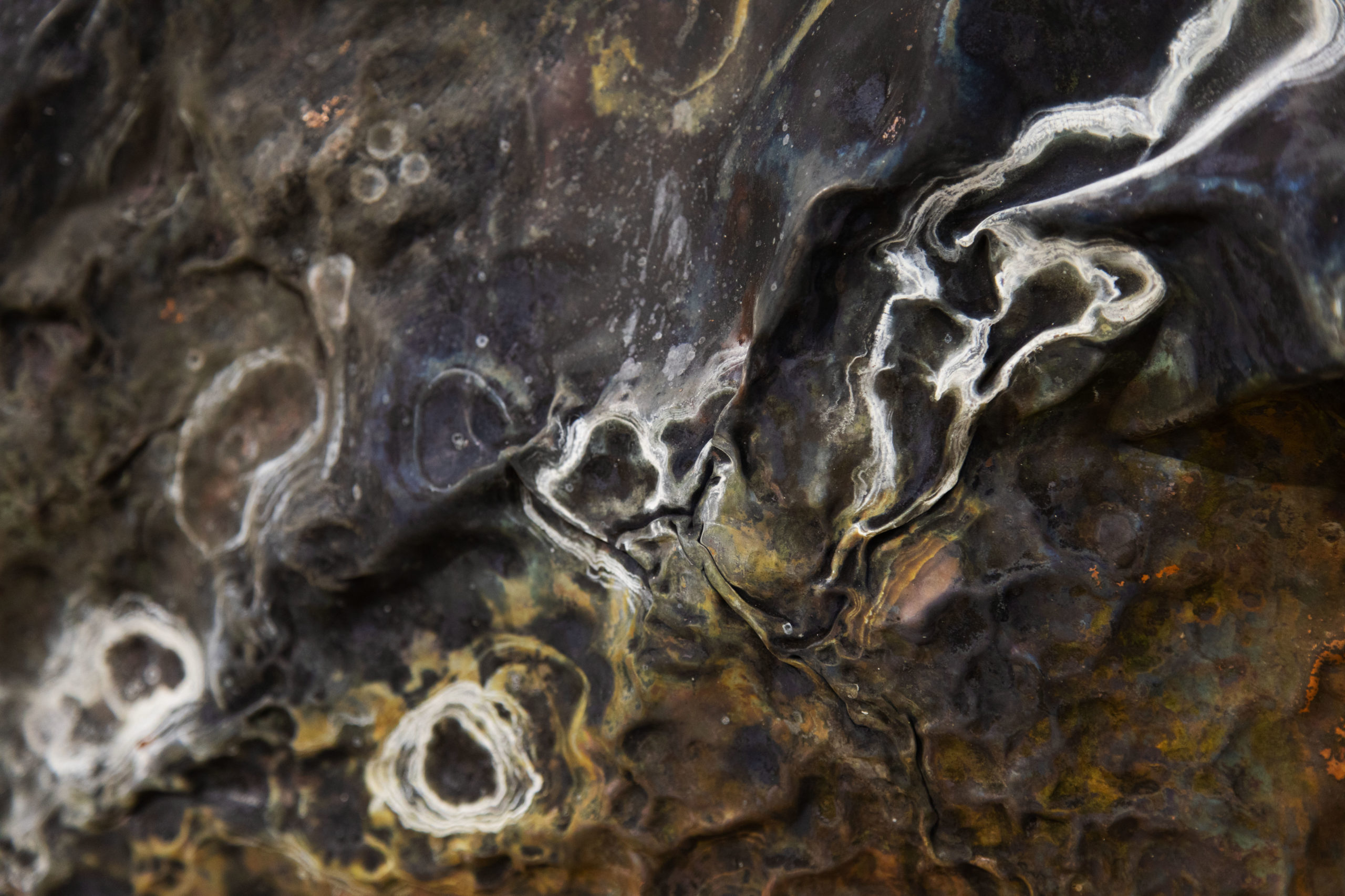 Galerie RX - Marius Ritiu - Observascope